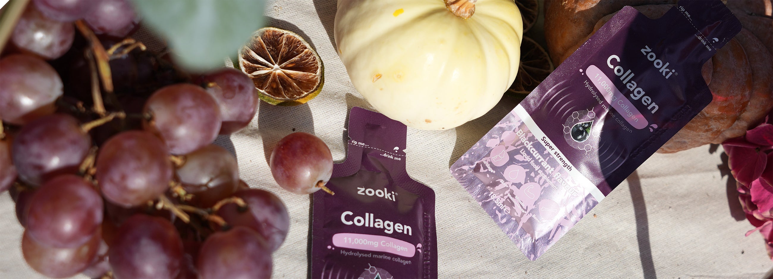 Shop All Zooki® Products | Supplements, Bundles & Accessories